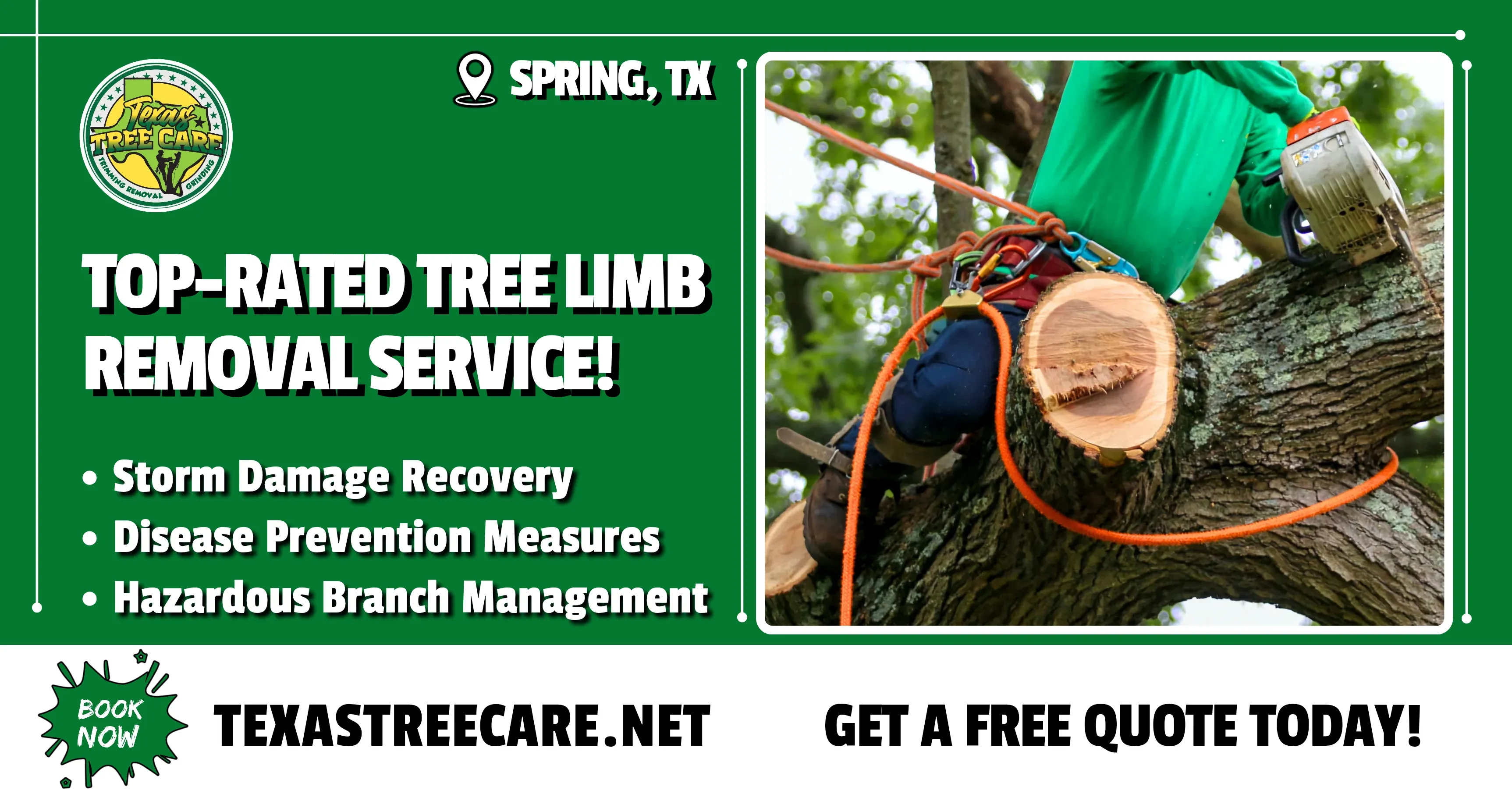 Tree Limb Removal in Spring TX | Spring Tree Service
