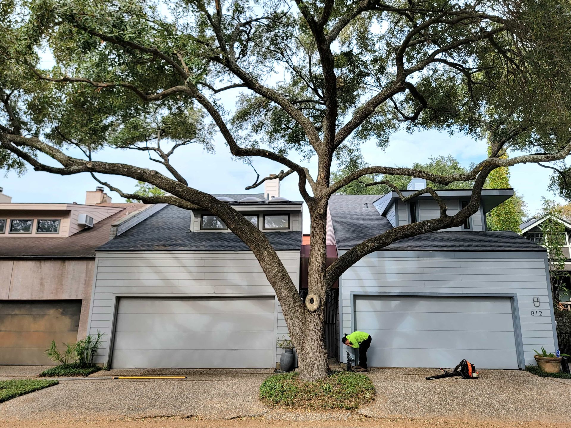 Tree Service Spring TX - Our Work | Texas Tree Care