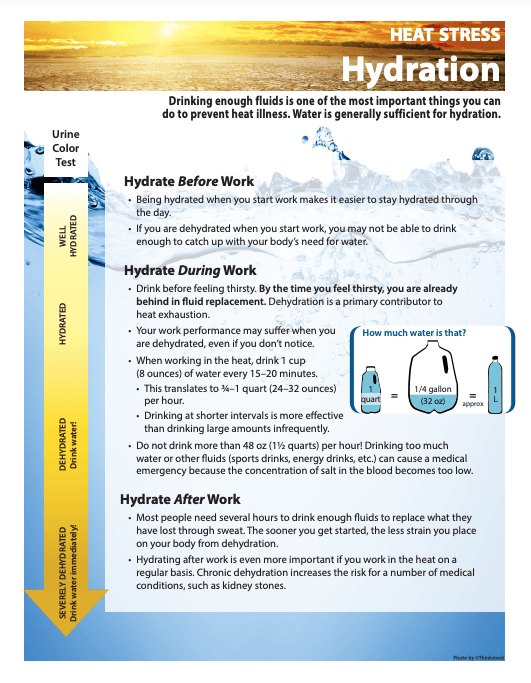 LEARN - Ready/Go Hydration