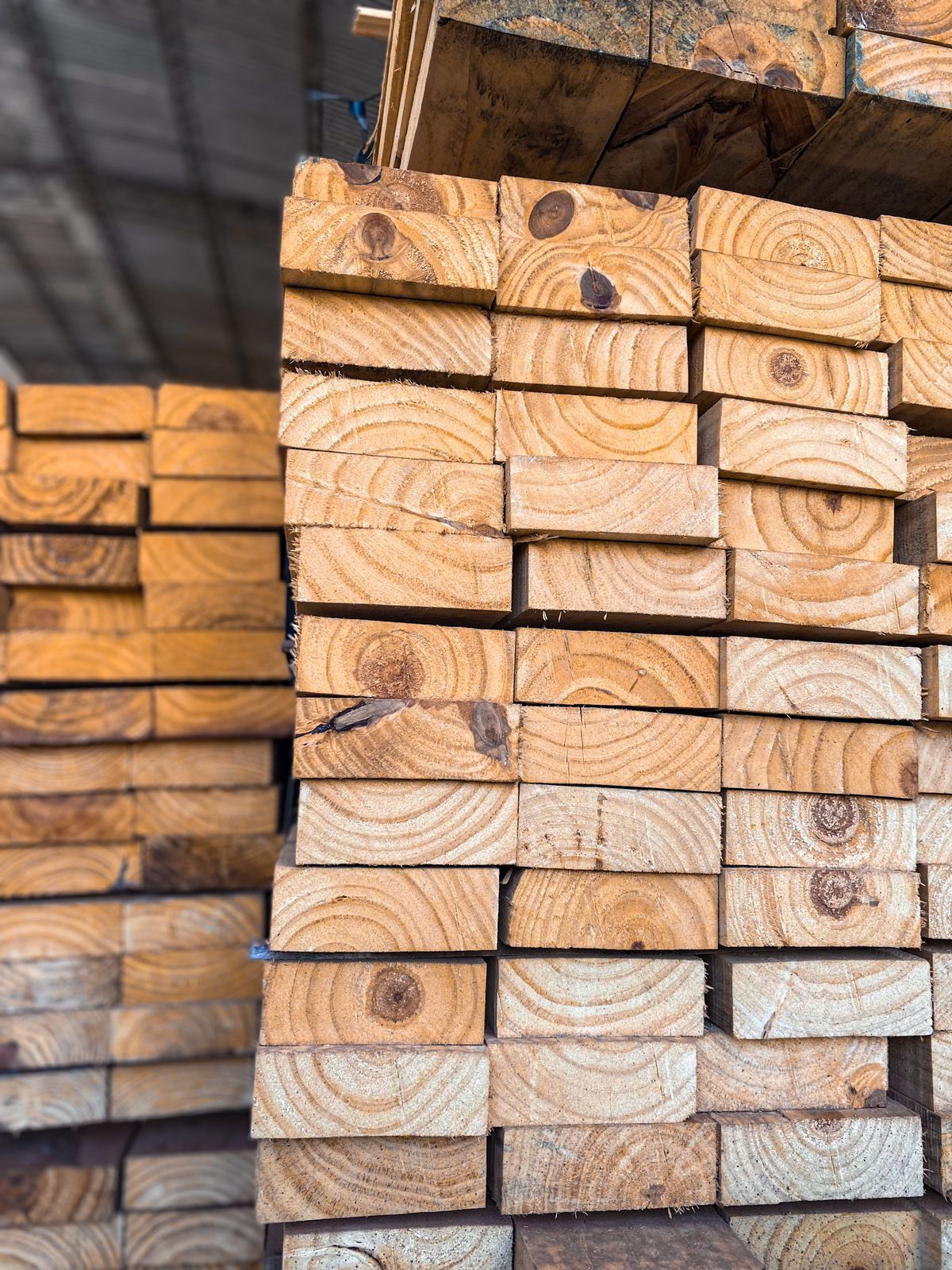 Madereras en Melchor Romero con Maderera Romero