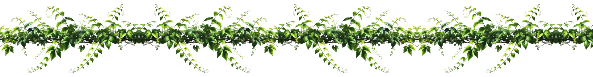 LASHCON 2025 | The LASHCONference