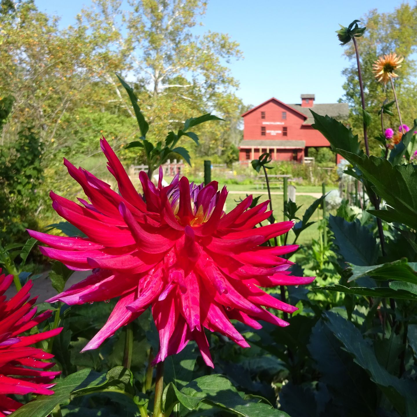 We Buy Houses Indiana | Sell My House Fast Indiana