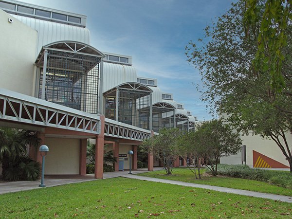 Friends Chapter | Broward County Libraries