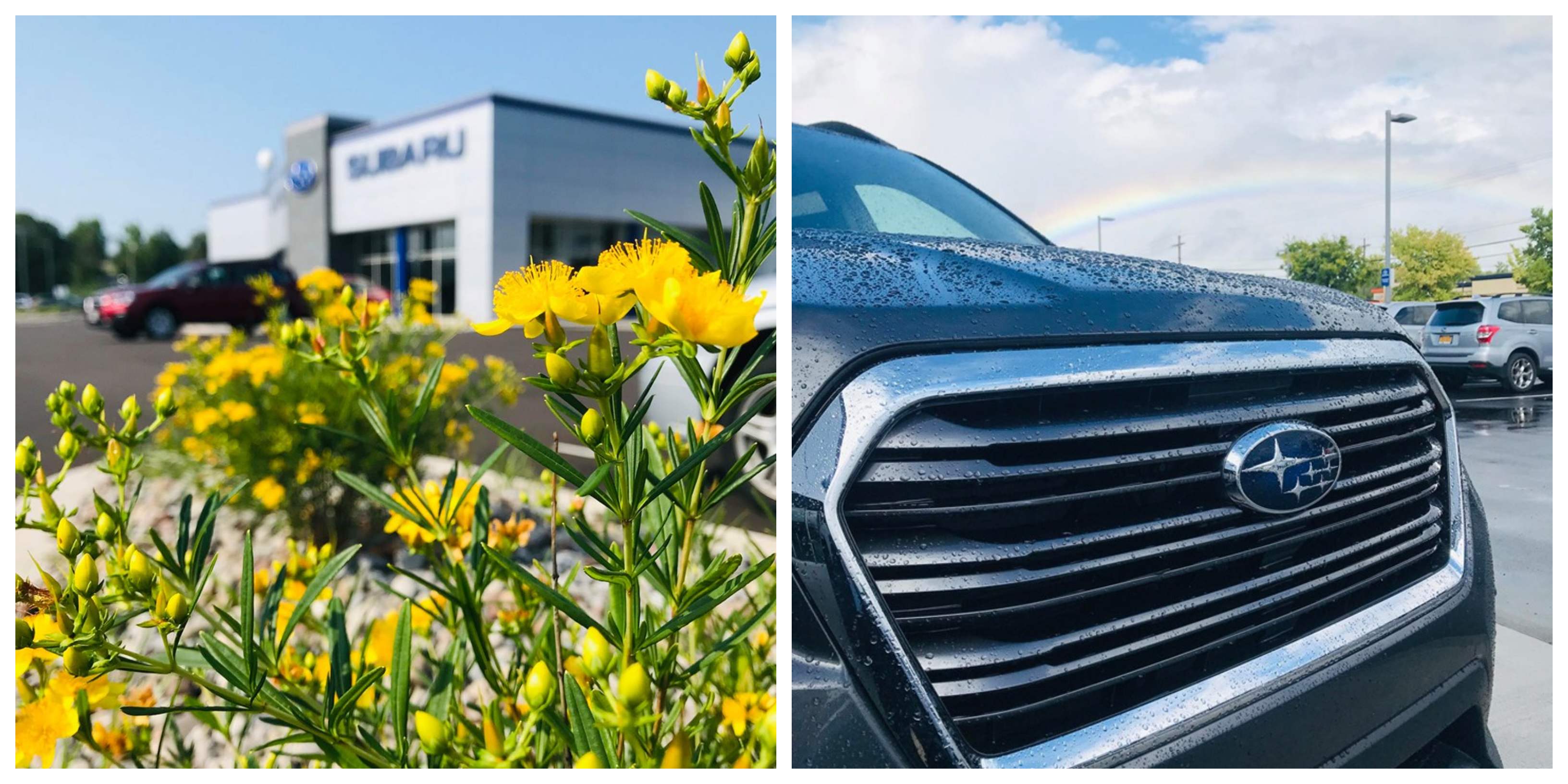 Careers at Van Bortel Subaru