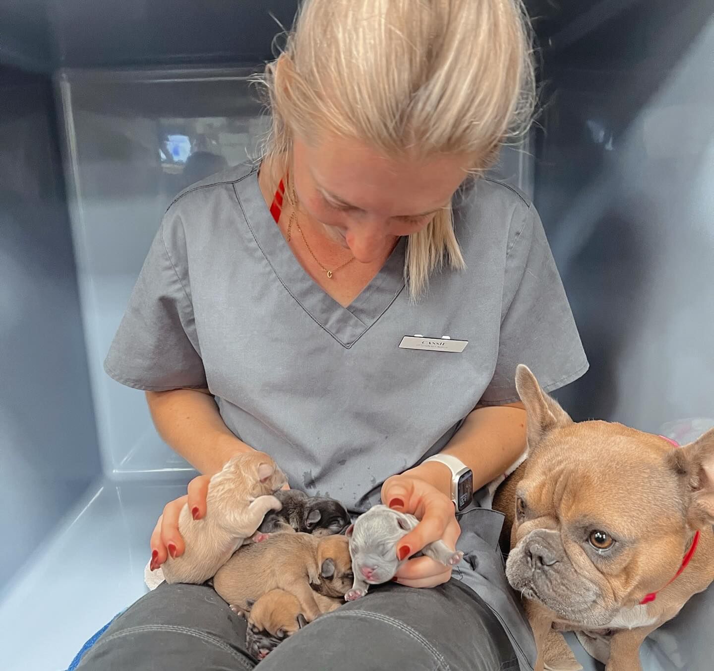About Us | Valley Vet Surgery