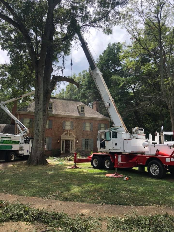 Tree Company - Hernando, MS - Addison Tree Care LLC