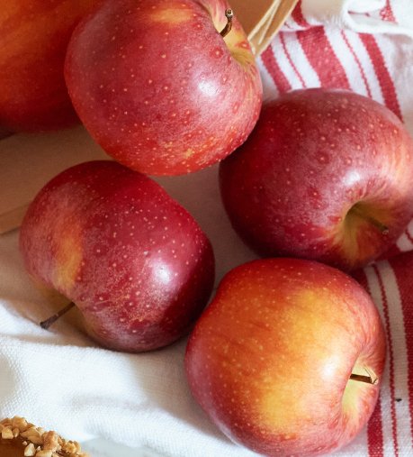 Moyer's Apple Products | Gourmet Caramel Apples