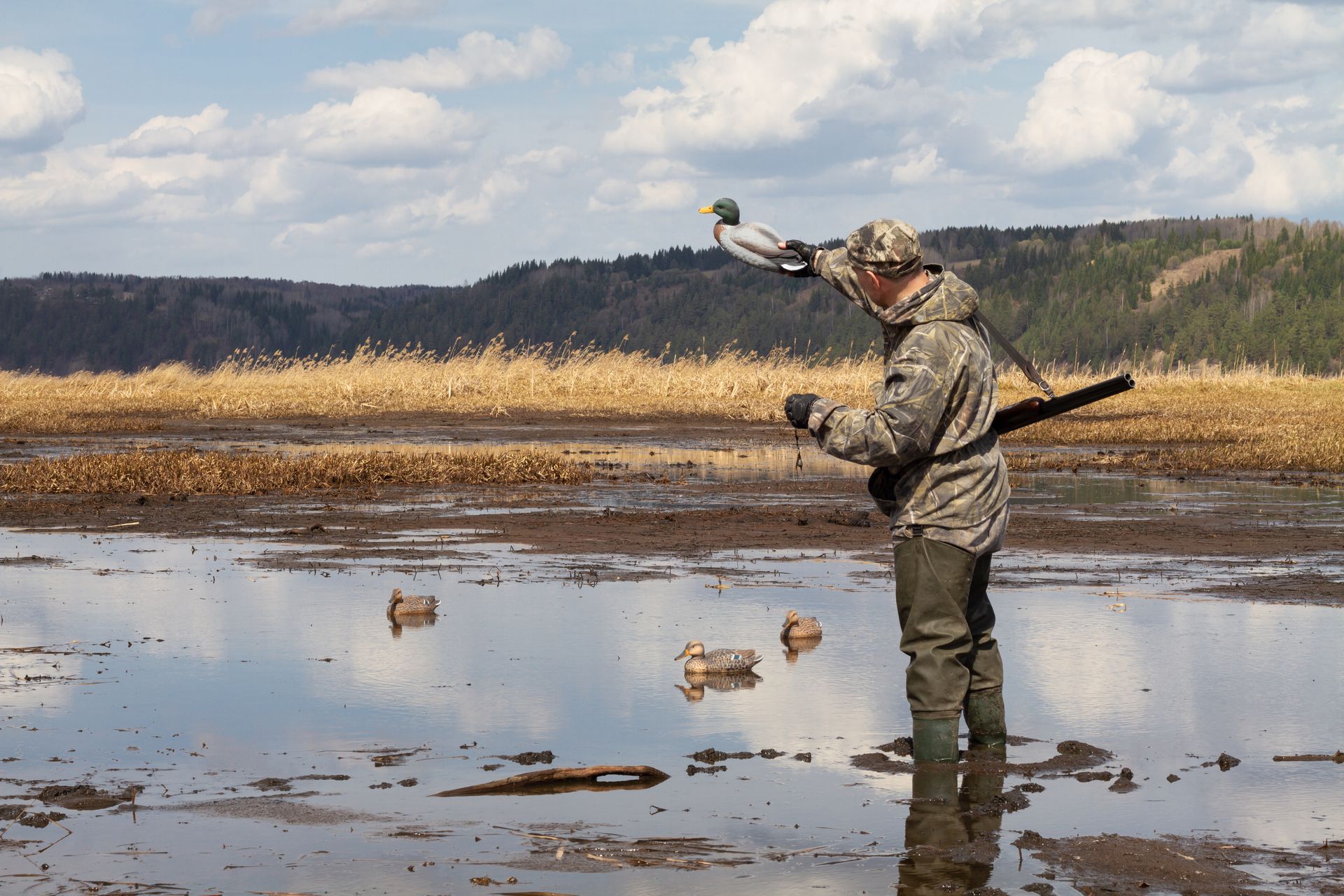 Create an Ideal Habitat for Waterfowl with Expert Duck Impoundment ...