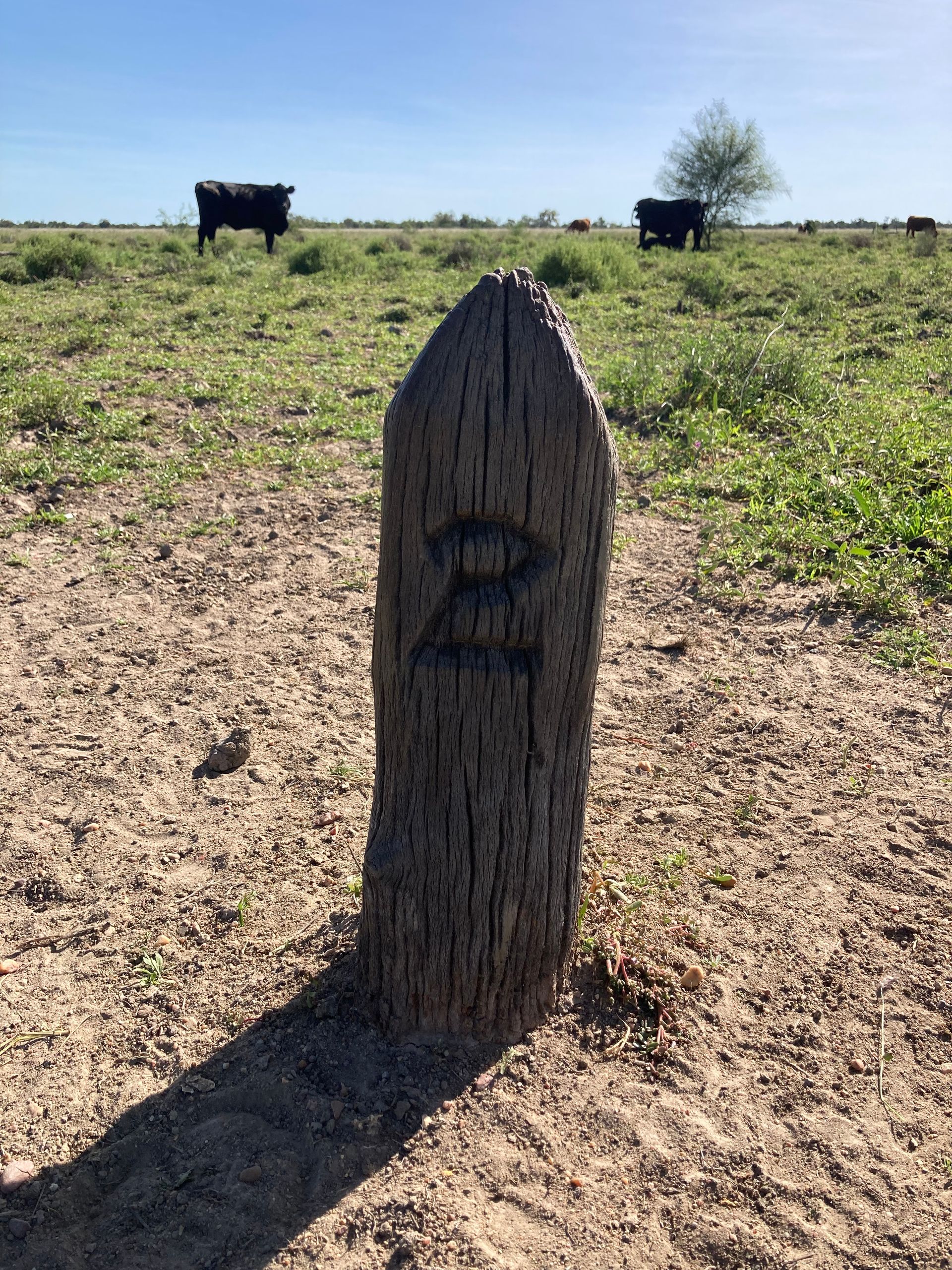 Atkinson Surveys | Projects – Townsville & Cairns