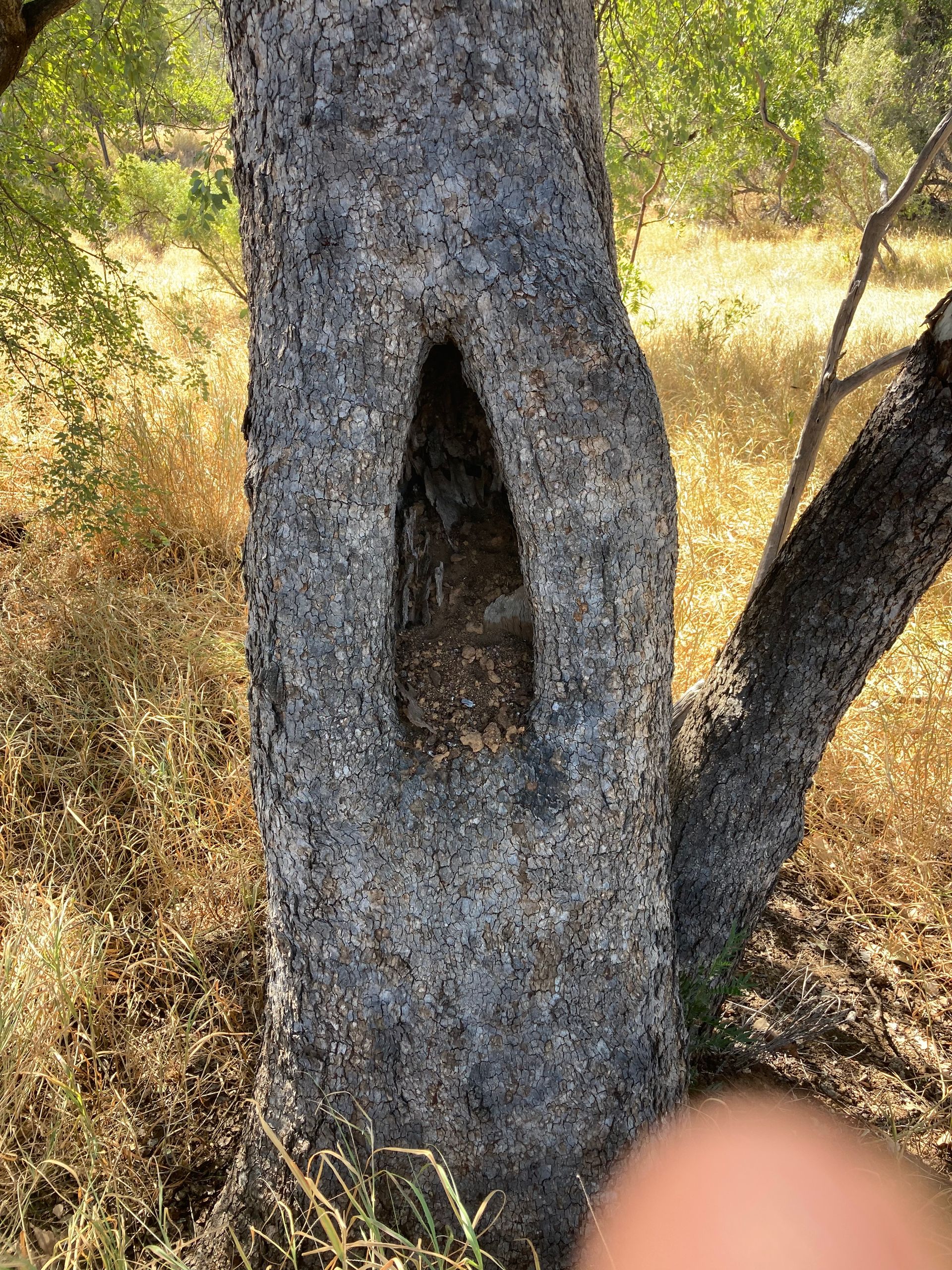 Atkinson Surveys | Projects – Townsville & Cairns