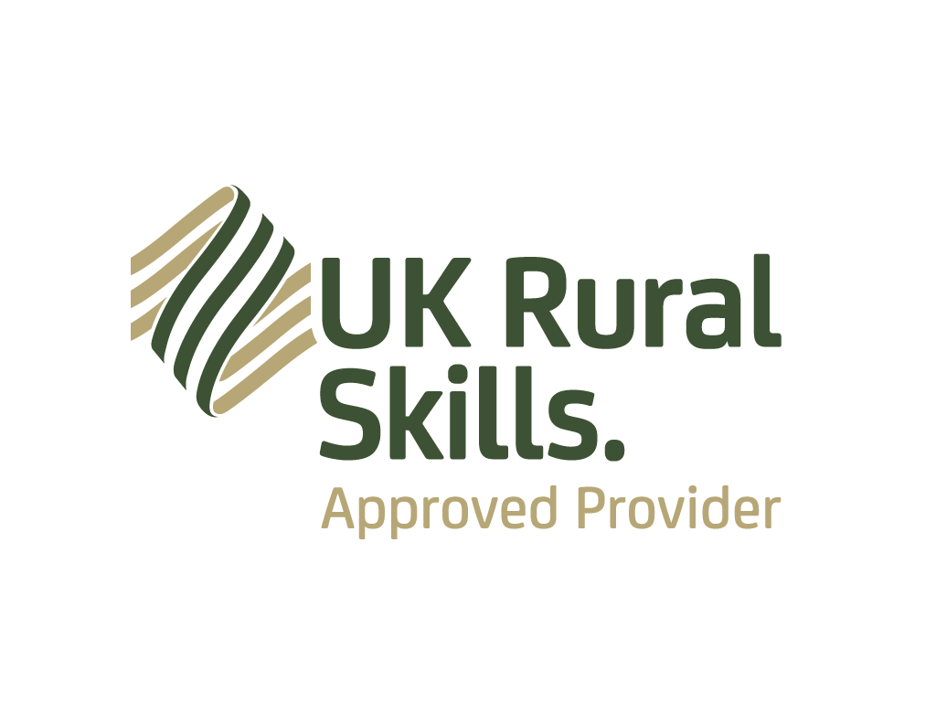 Dynamic Dog Course | Dynamic Dog