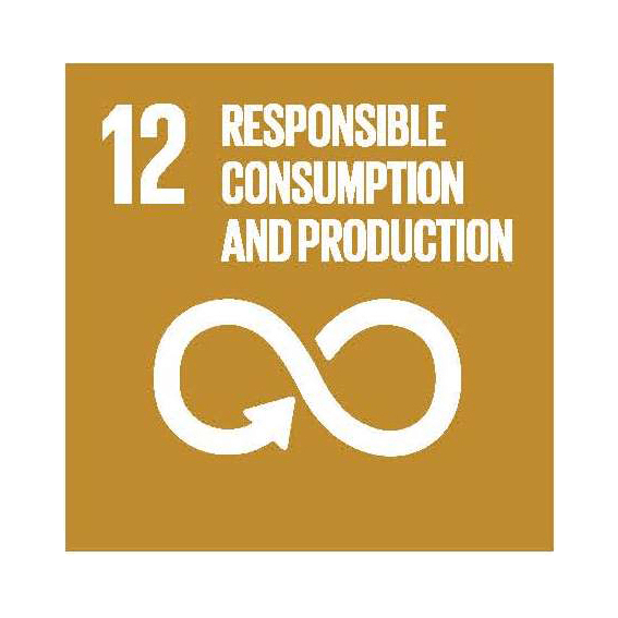 SDG 12 Responsibility Consumption and Production
