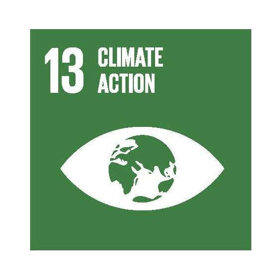 SDG 13 Climate Action