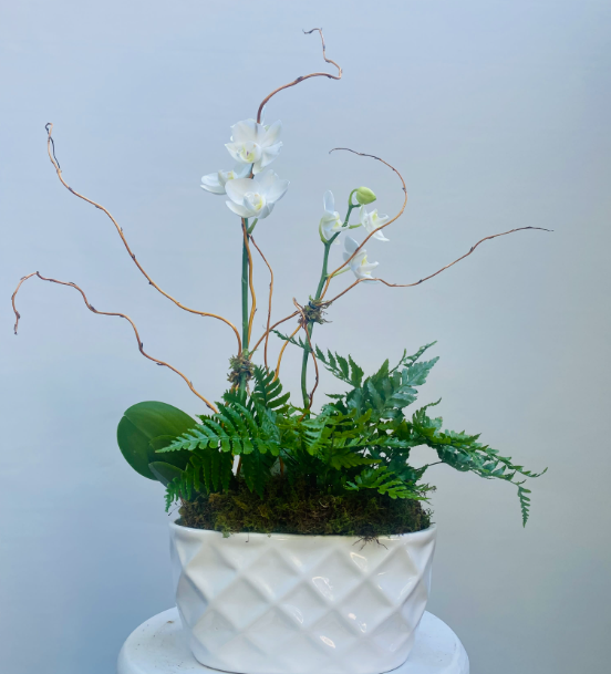 Explore Collections | Elizabeth's Garden | Mobile AL