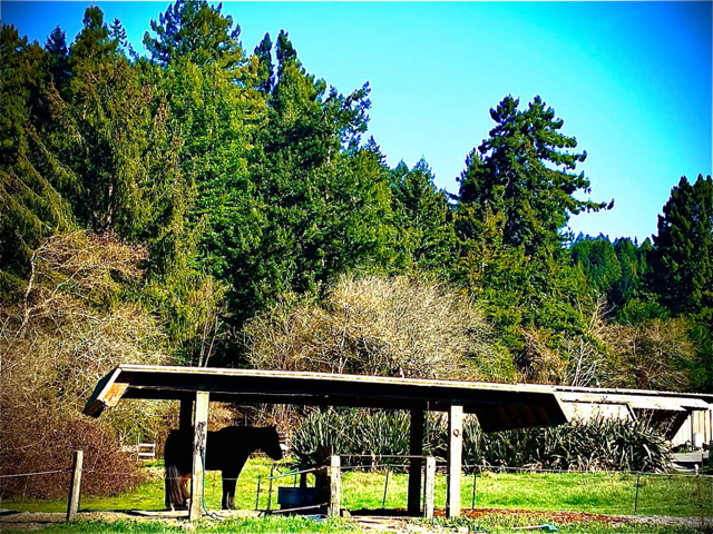 Horse Stall Rentals | Eureka, CA | Freshwater Valley Stables
