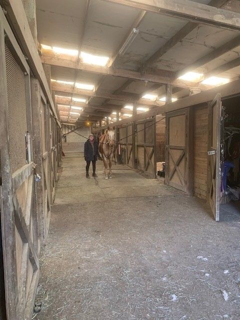 Stable Rentals | Eureka, CA | Freshwater Valley Stables