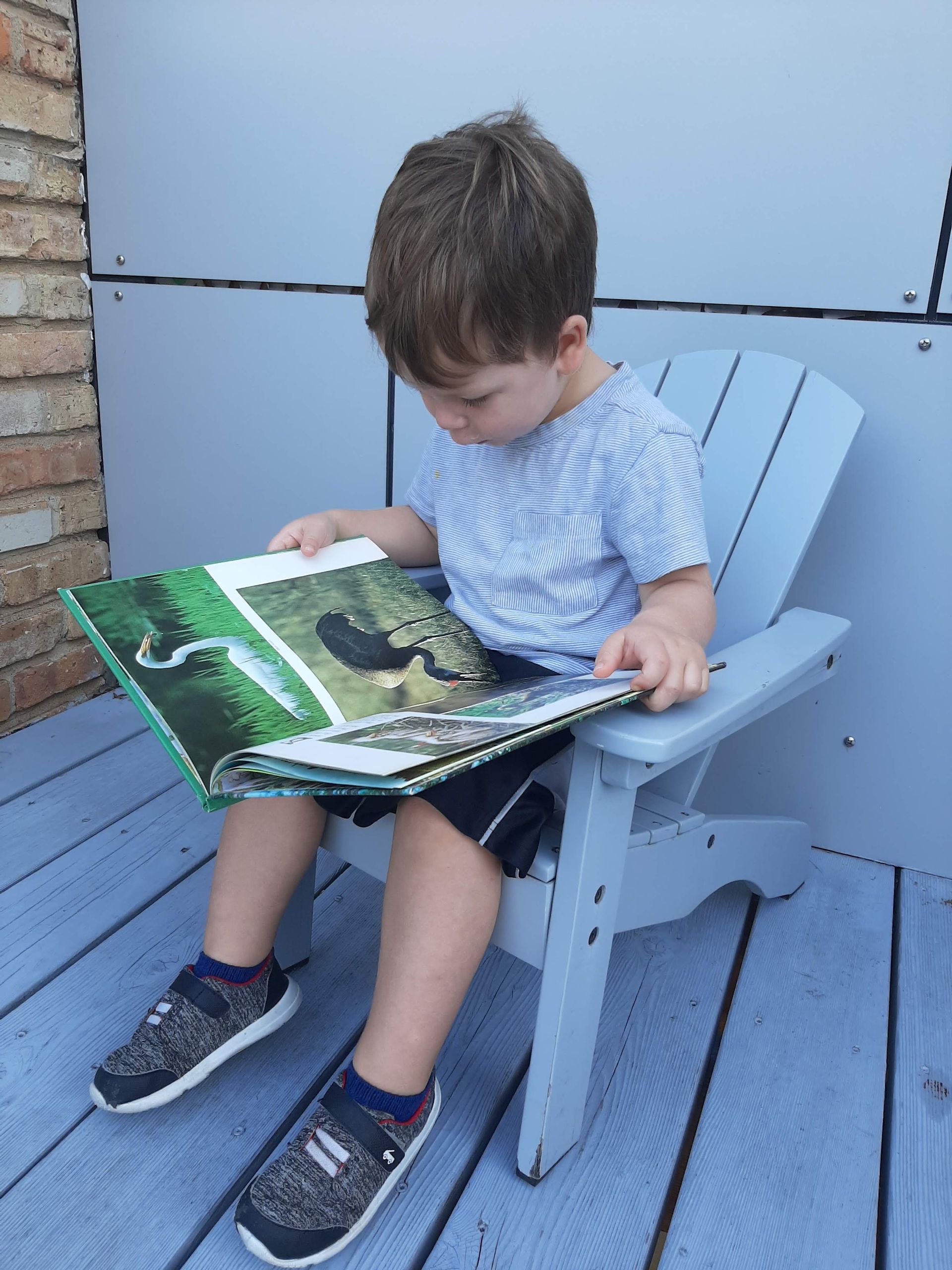 7 Tips to Turn Your House Into a “Reading” Home
