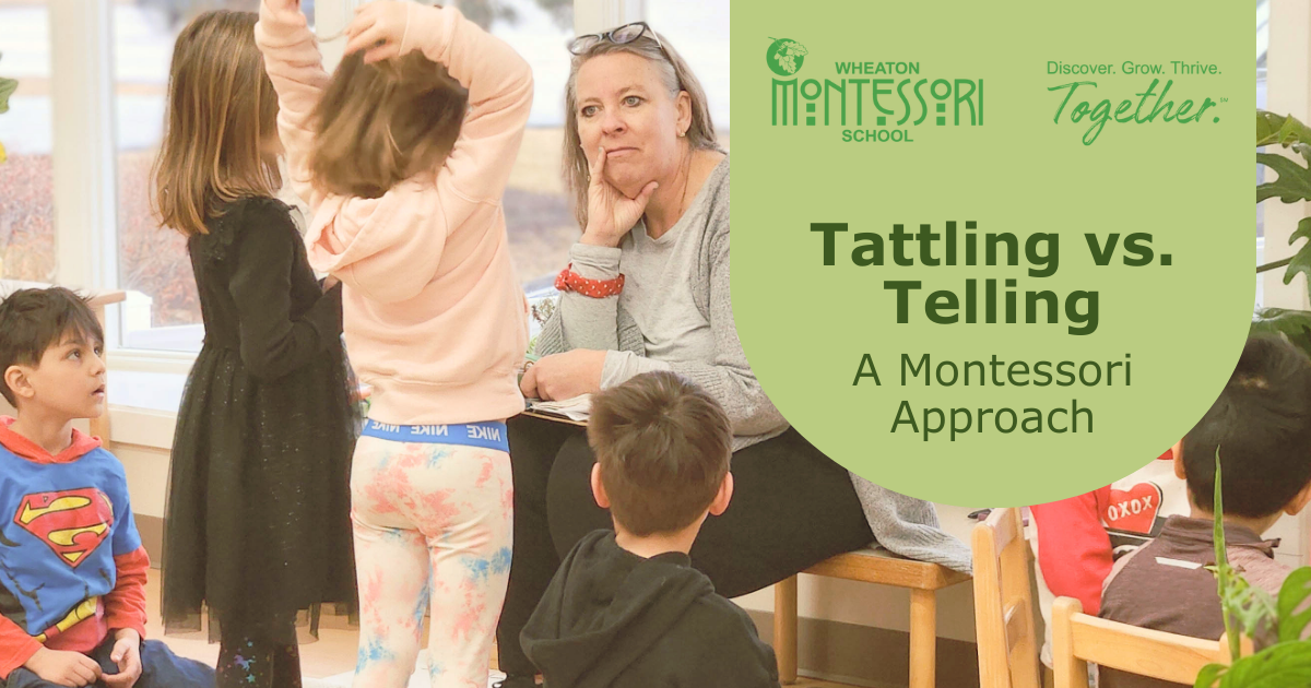 Tattling vs. Telling: A Montessori Approach