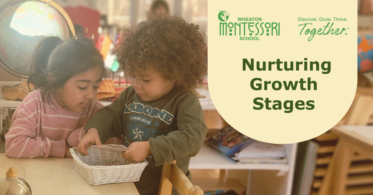 Nurturing Growth Stages