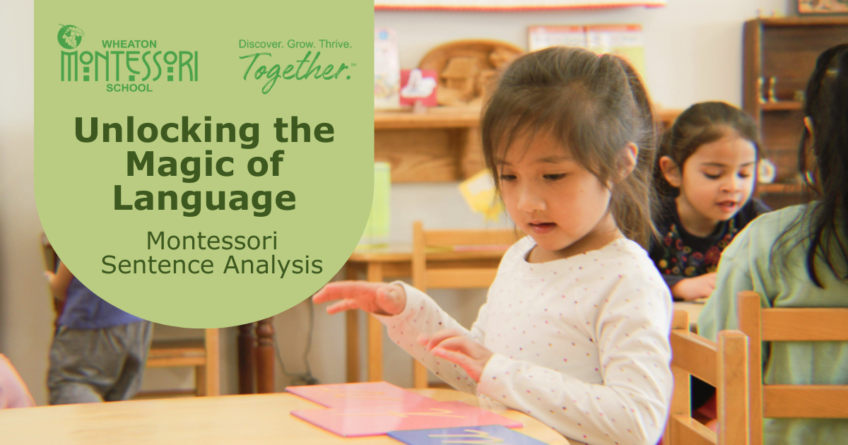 Unlocking the Magic of Language: Montessori Sentence Analysis