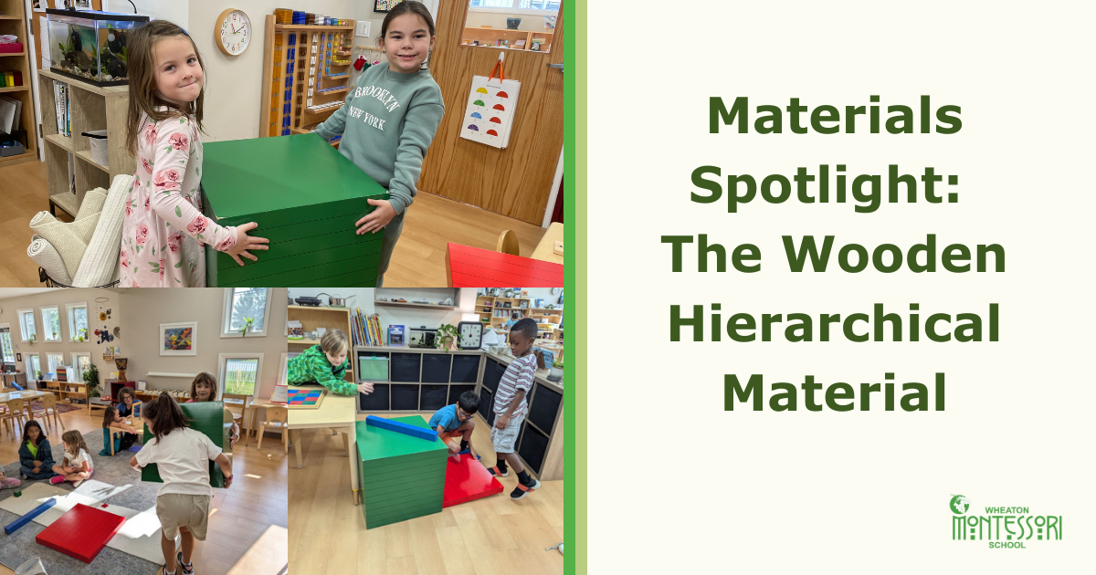 Materials Spotlight: The Wooden Hierarchical Material