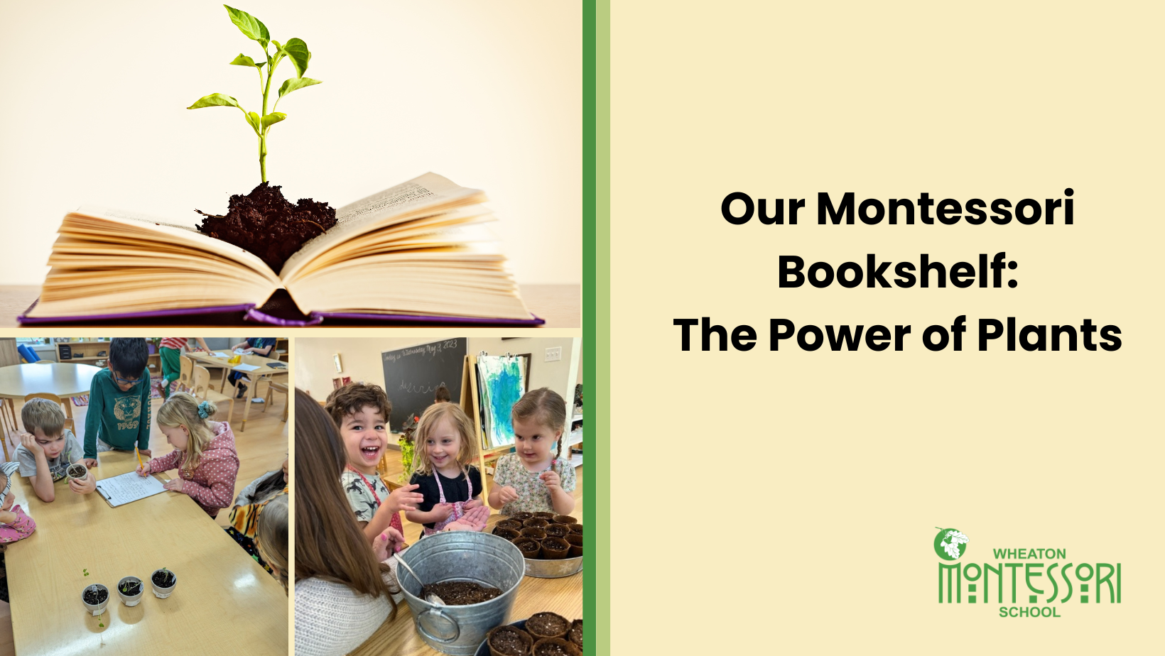 Our Montessori Bookshelf: The Power of Plants