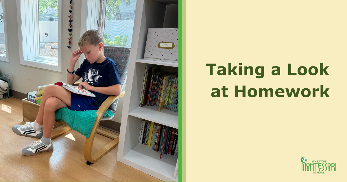 Taking a Look at Homework