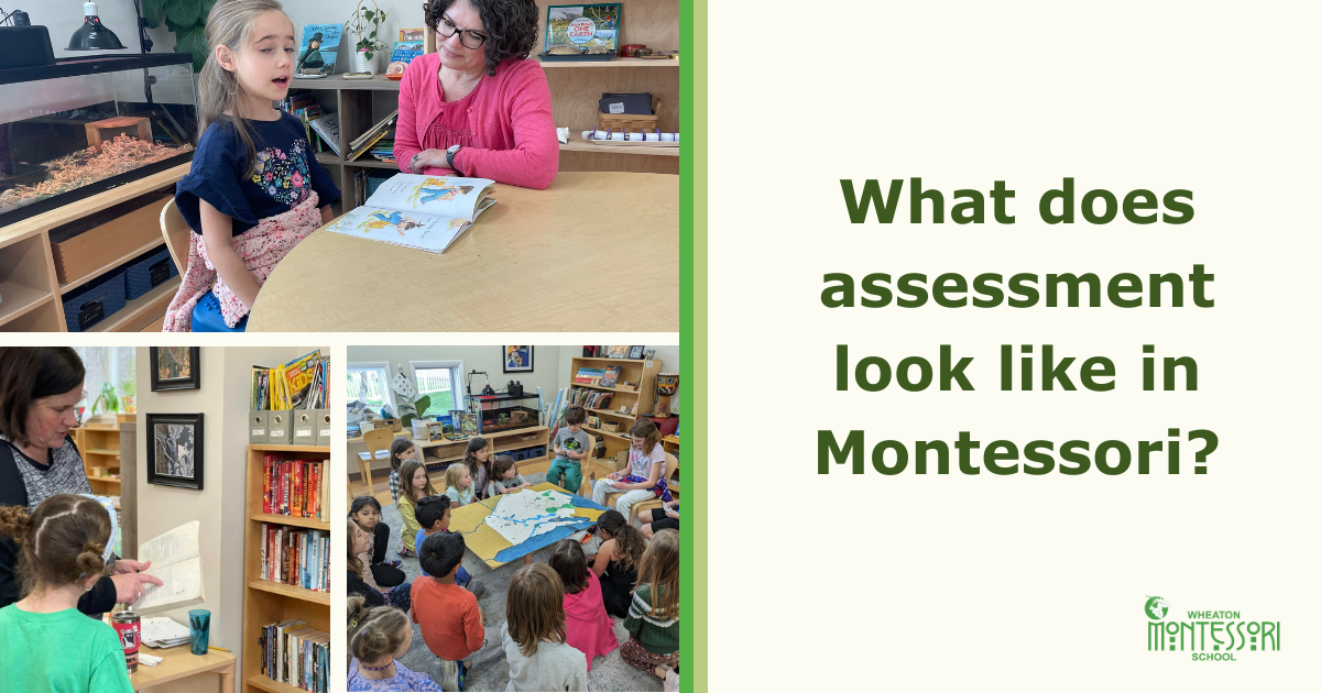 What does assessment look like in Montessori?