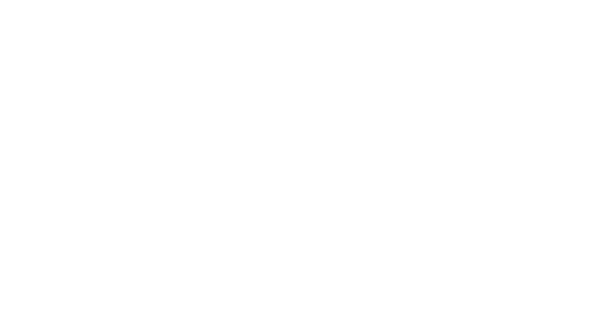 Home - Seimitsu Electronic