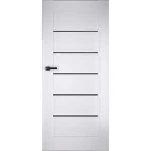 Lenkiškos Skydinės Modulinės, Stiklinės durys