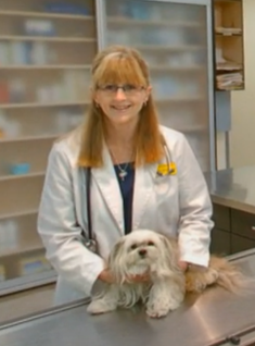 Meet Clinic Team | Cooper City, FL | Four Paws Animal Hosp