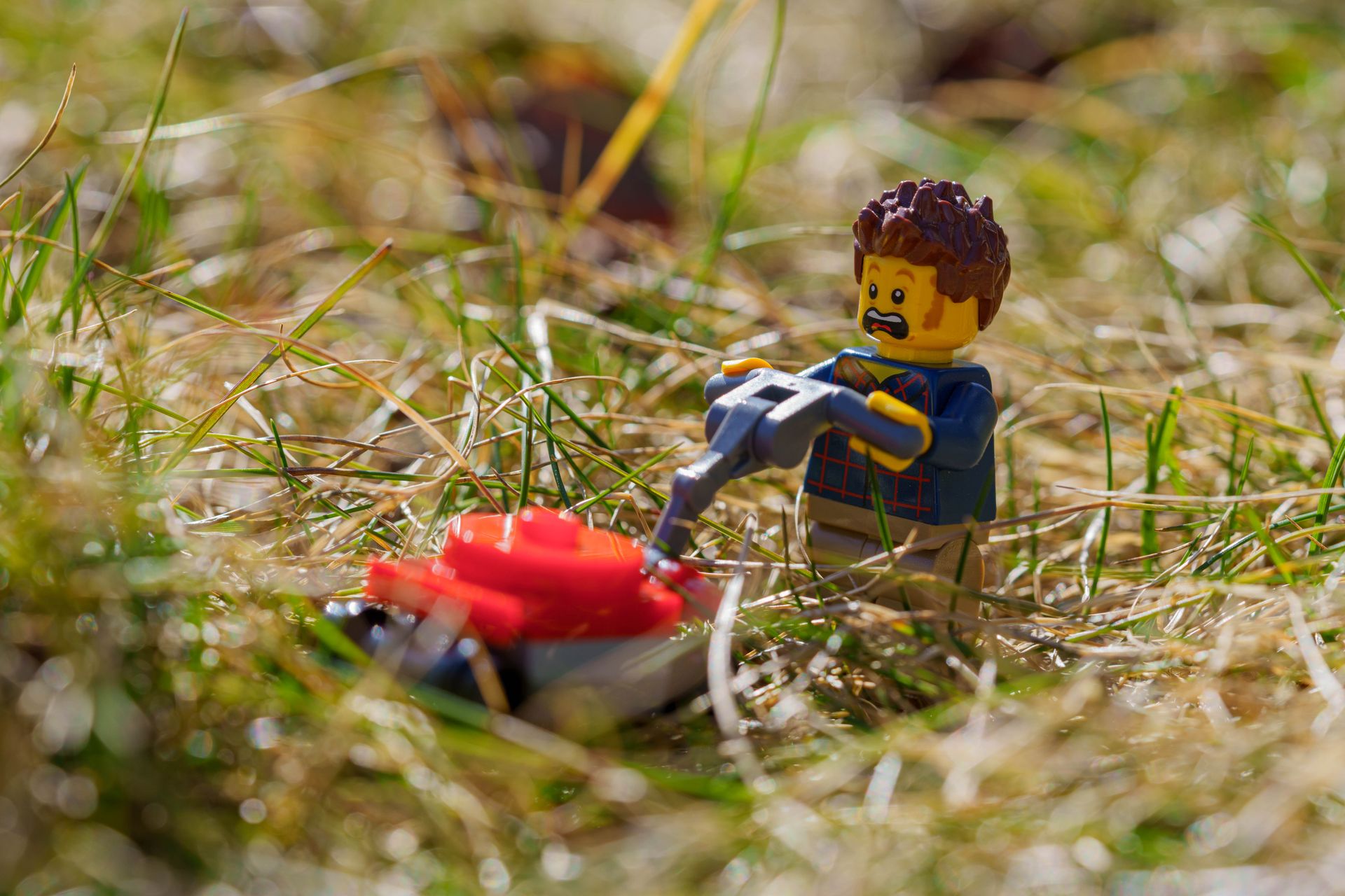 Photographing Small Things (Miniatures)| The Camera Company