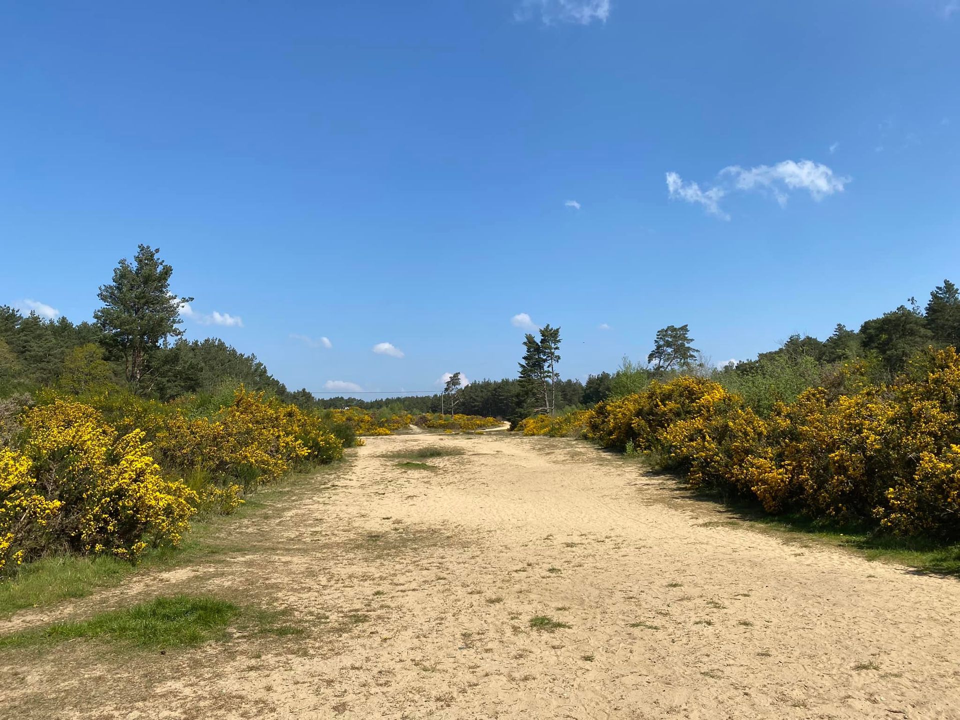 Phoenix Twirlstars | Forest Community Centre | Bordon