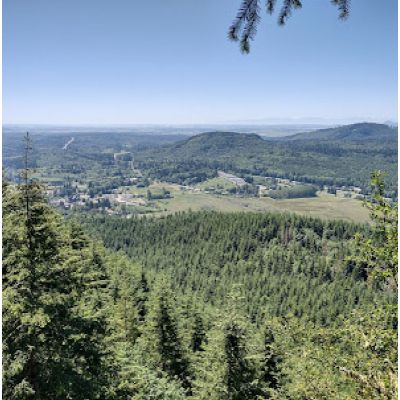 Gutters, Seamless Gutters, Gutter Guard, Alger, WA