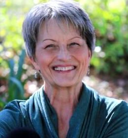 Humanity Stream+ | Humanity's Team