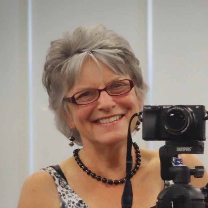 Humanity Stream+ | Humanity's Team