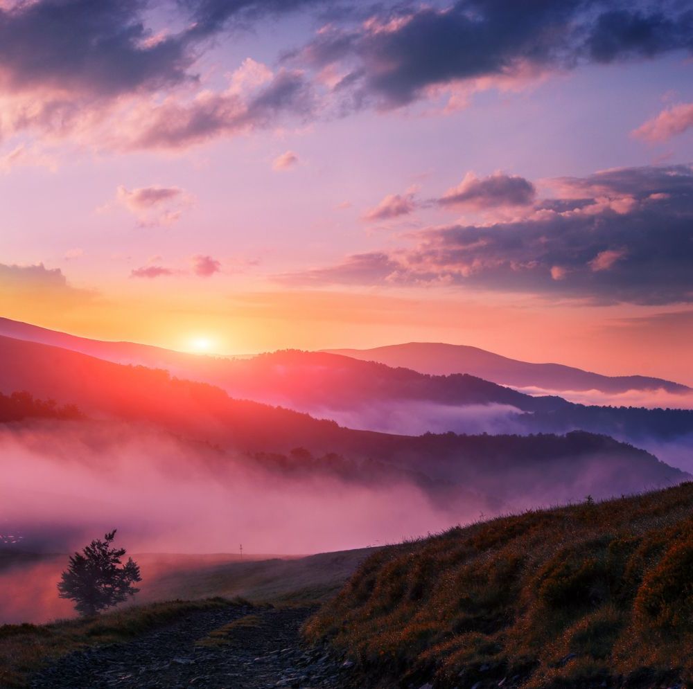 Prayer, Intention & Meditation | Humanity's Team