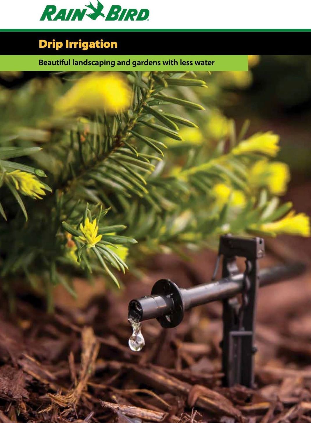 Salazar's All Season Landcaping | Irrigation Systems & Sprinklers