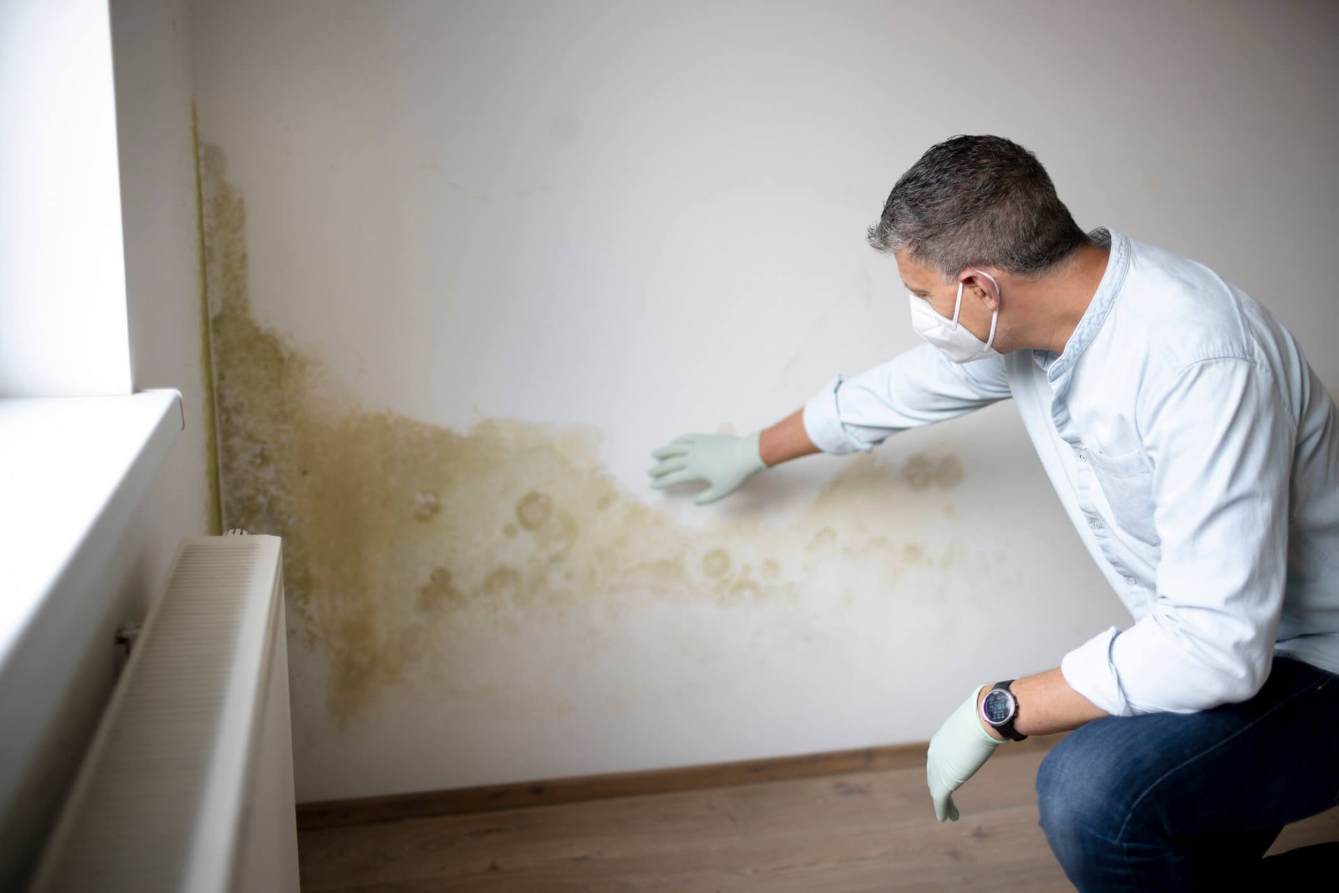 Rising Damp Treatment | Sydney House Levelling | Sydney