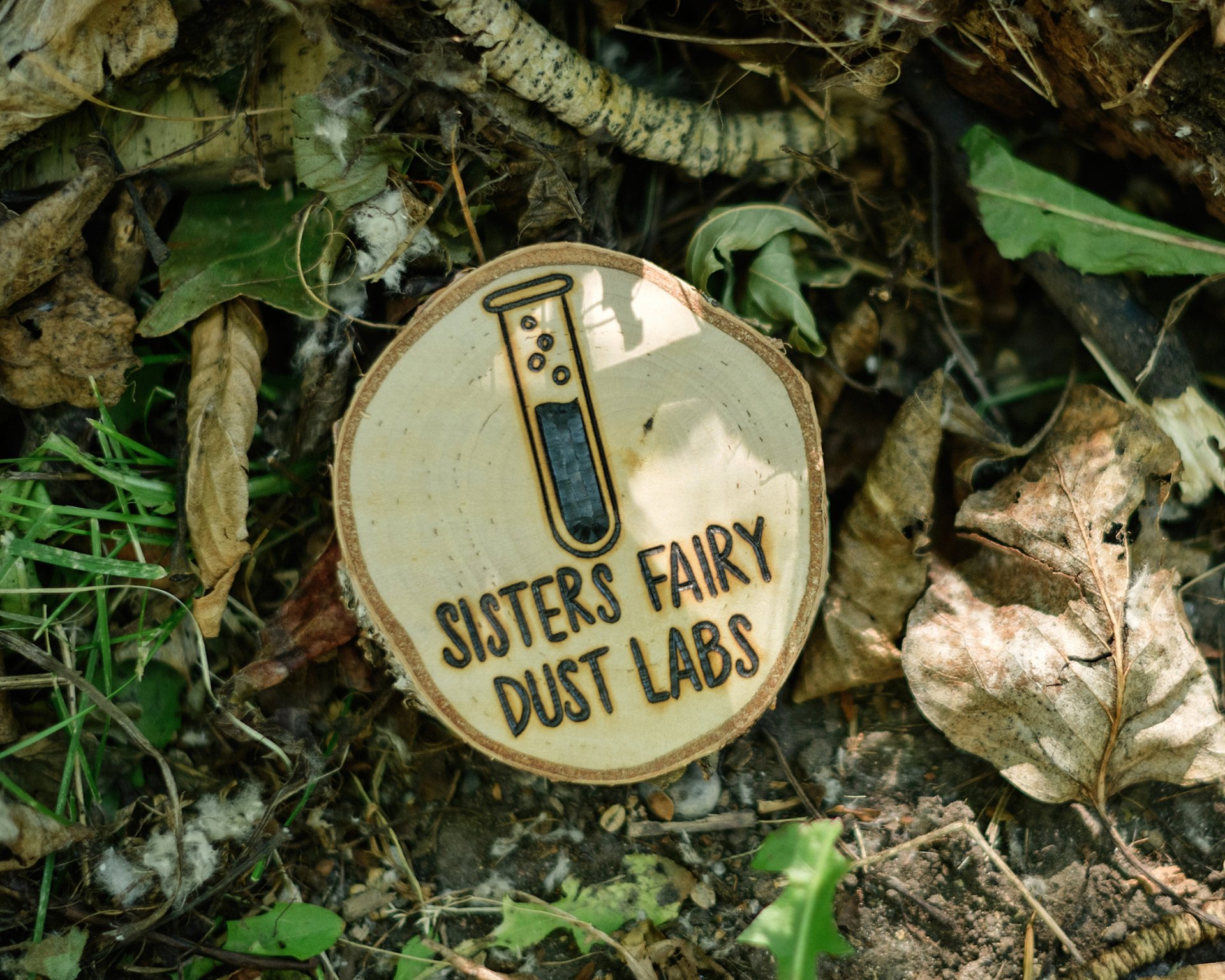 Sisters Fairy Dust Labs