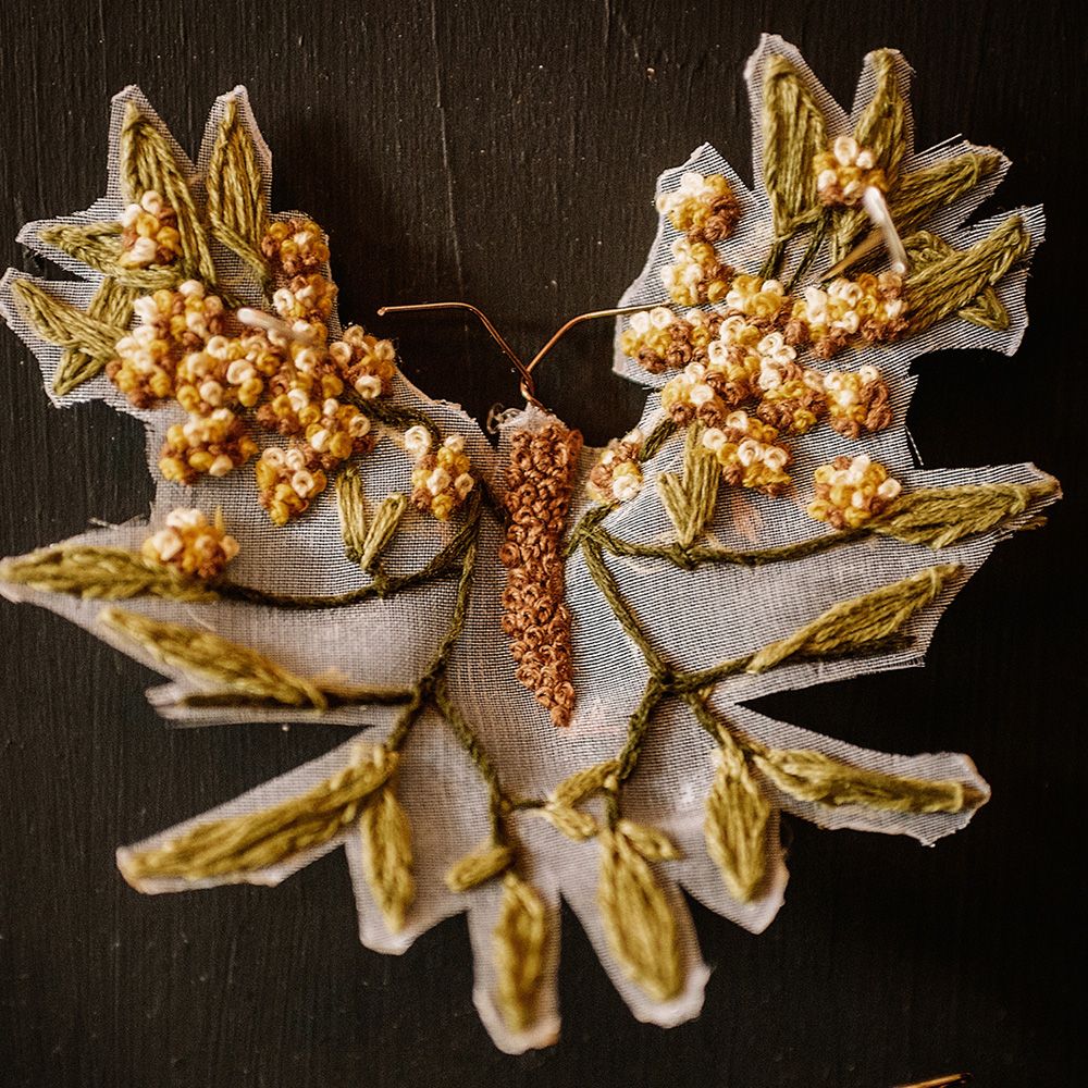 Cabinets of Curiosity 2024