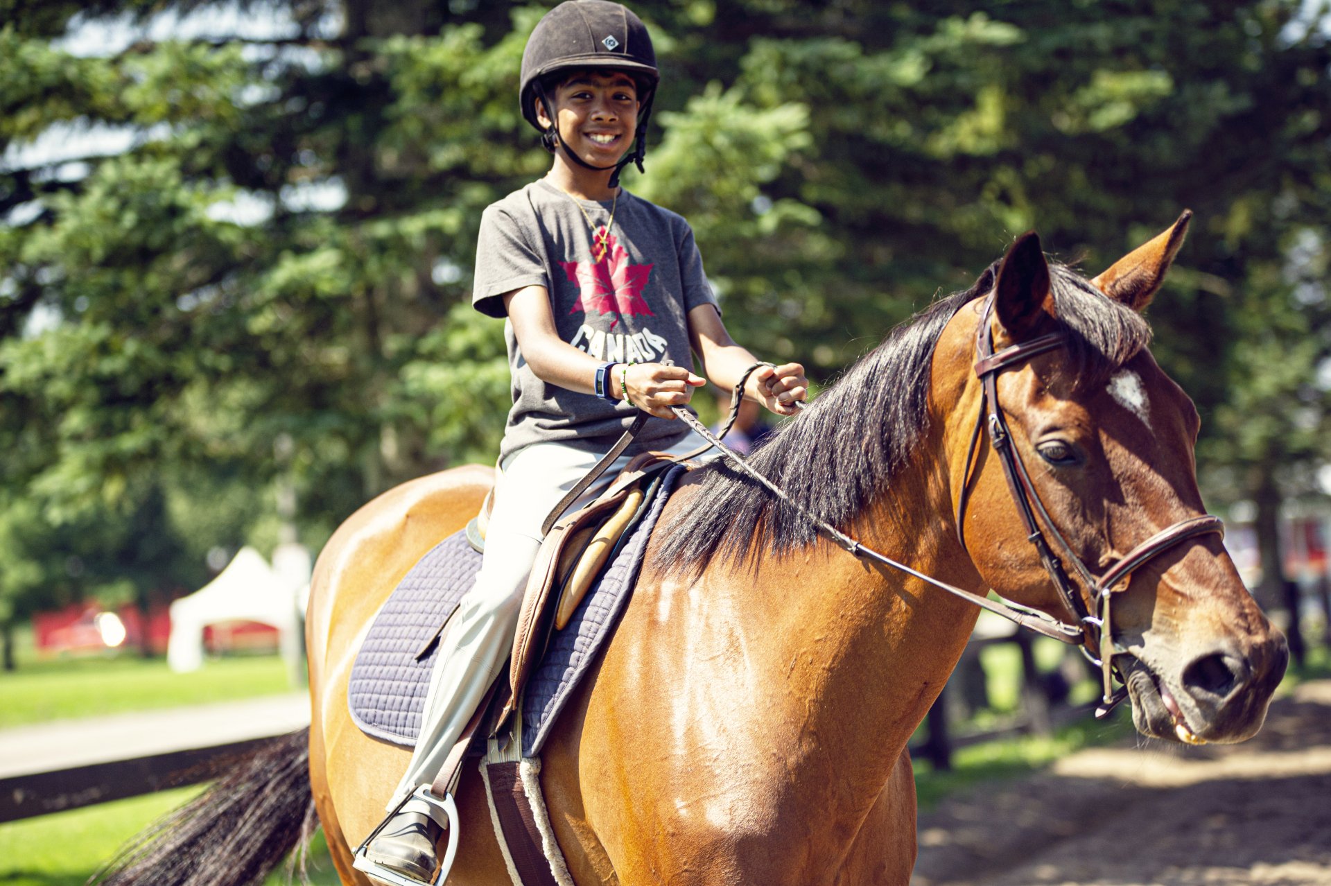 Horse Riding Stables | Vars, ON | Wynbrook Equestrian Centre