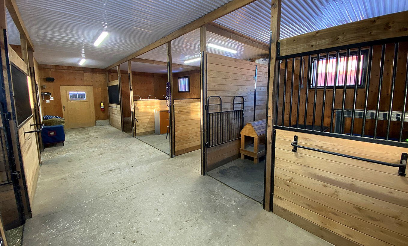 Horse Riding Stables | Vars, ON | Wynbrook Equestrian Centre
