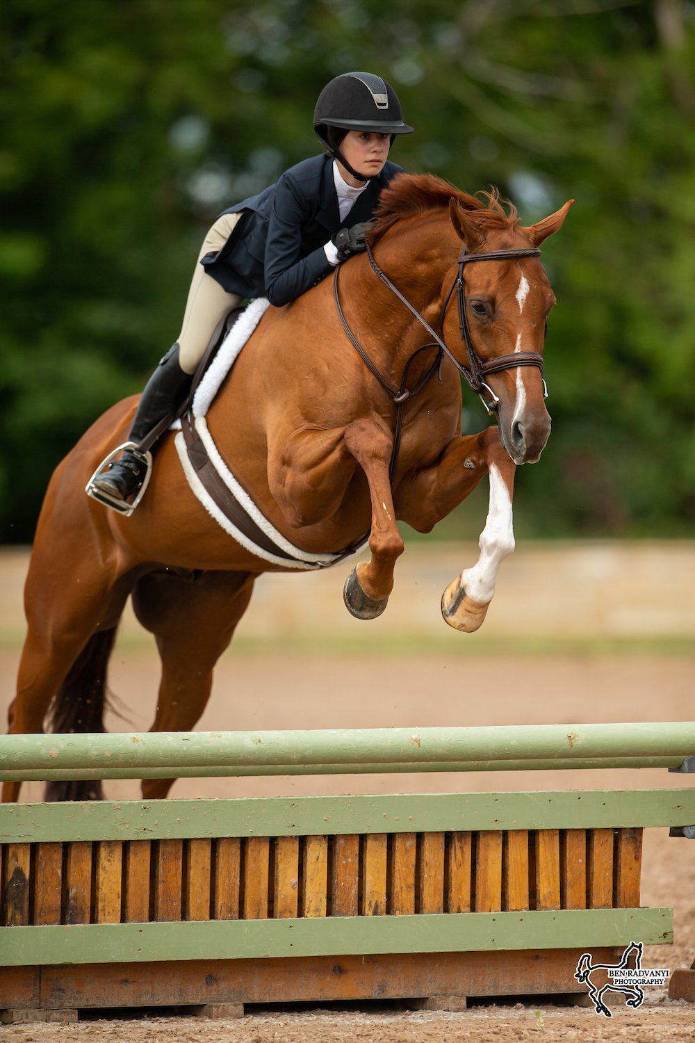 Horse Riding Stables | Vars, ON | Wynbrook Equestrian Centre