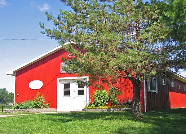 Horse Riding Stables | Vars, ON | Wynbrook Equestrian Centre