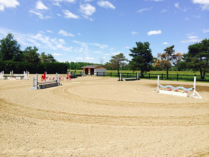 Horse Riding Stables | Vars, ON | Wynbrook Equestrian Centre
