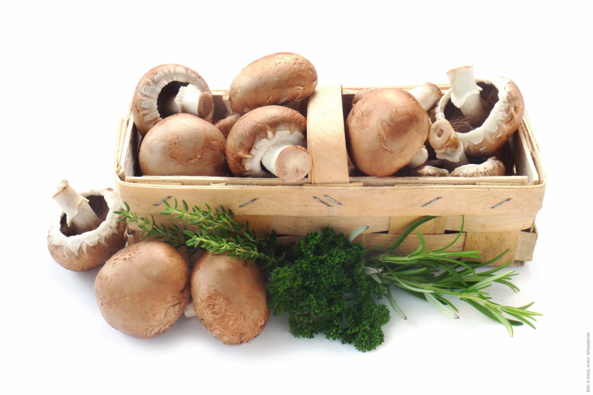 Gasthof Tepe in Aschendorf