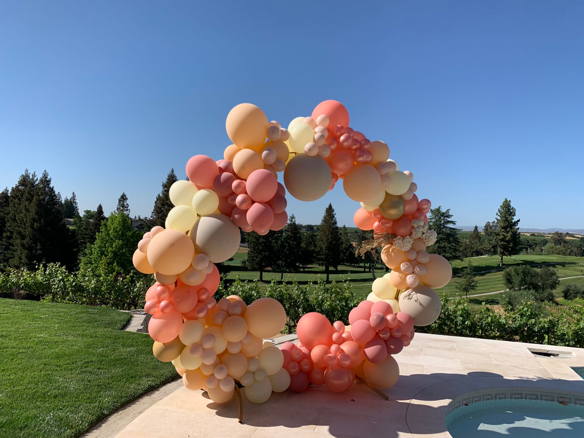 Balloon Decor and Bounce Houses in Modesto