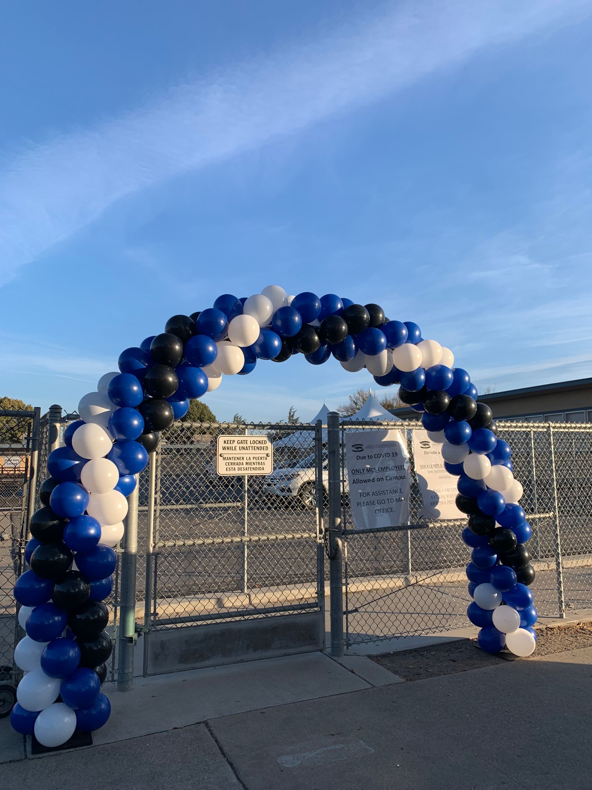 Balloon Arch Gallery | My Little Balloon Co.