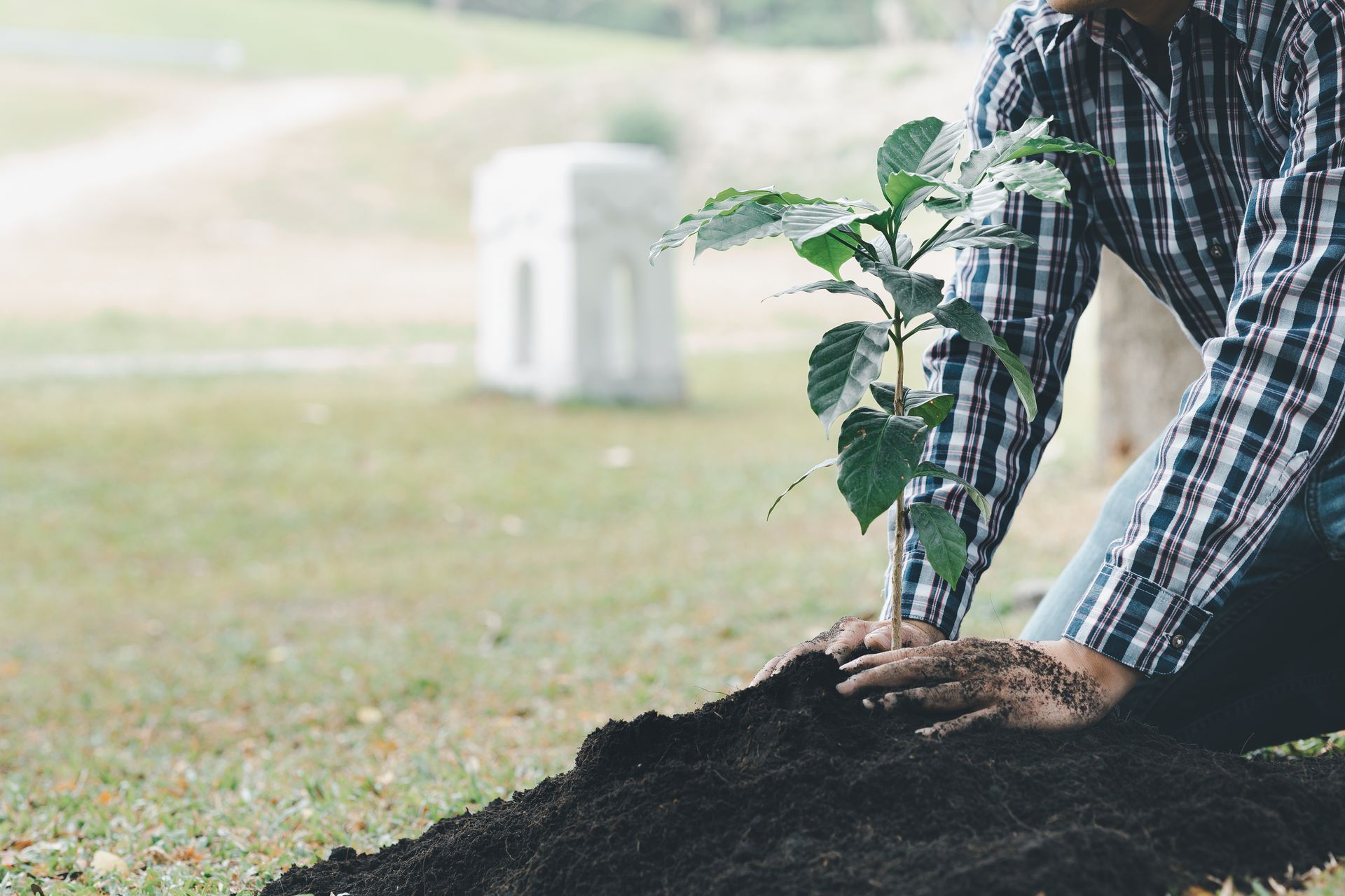 Environmentally Friendly Cremation and Green Burial Options